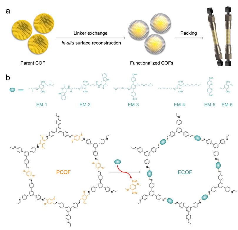 [COF Morphology Control] Functional Covalent Organic Frameworks ...